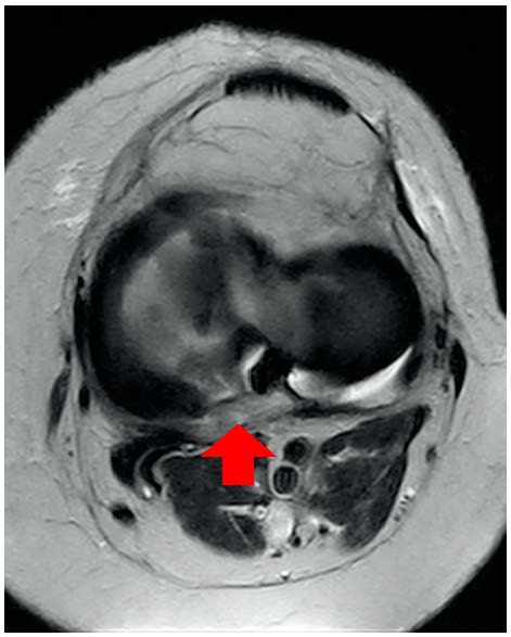 Timisoara Medical Journal