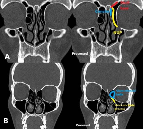Timisoara Medical Journal