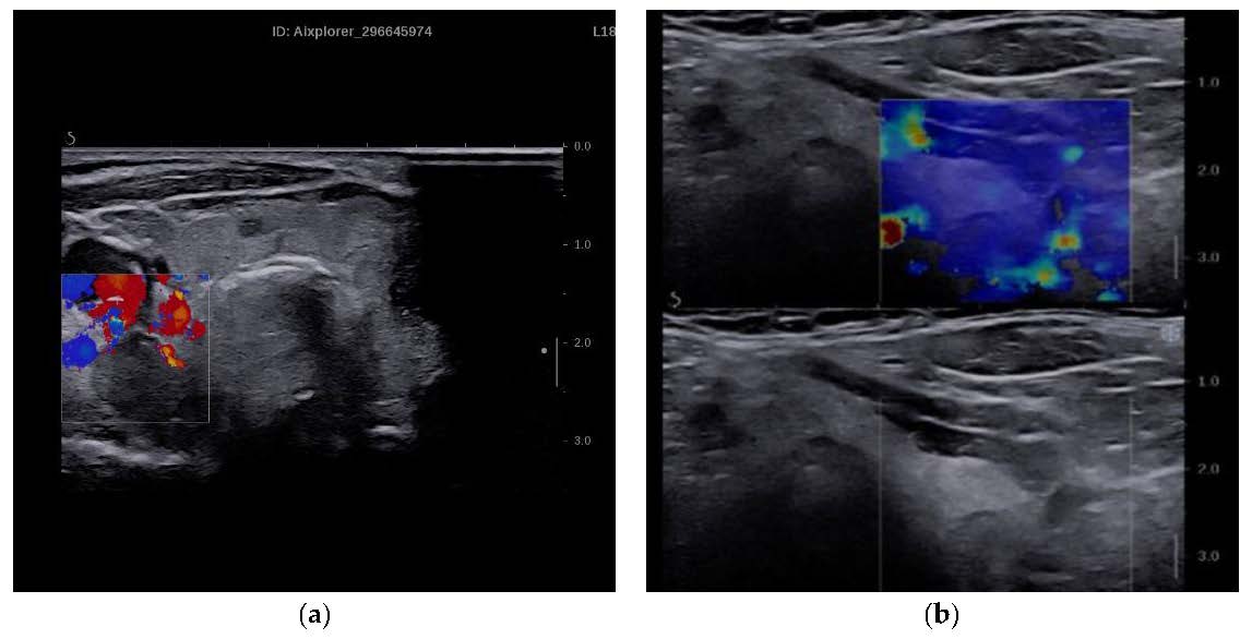 Timisoara Medical Journal
